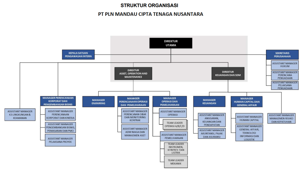 STRUKTUR ORGANISASI – PLN MCTN